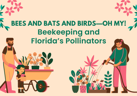 Bees and Bats and Birds—Oh My!: Beekeeping and Florida’s Pollinators ...